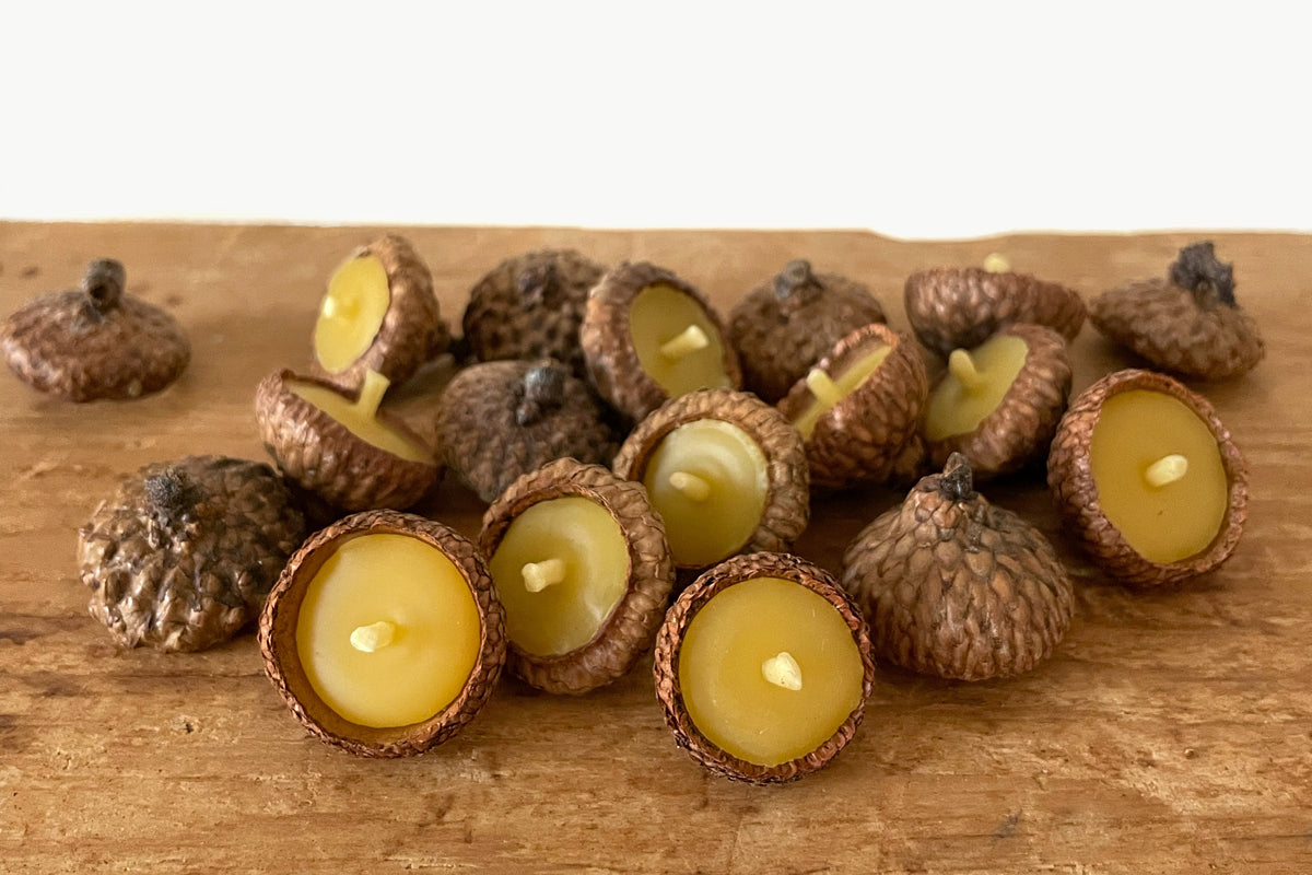 Acorn Cap Candle Making Kit - Woodlark Shop