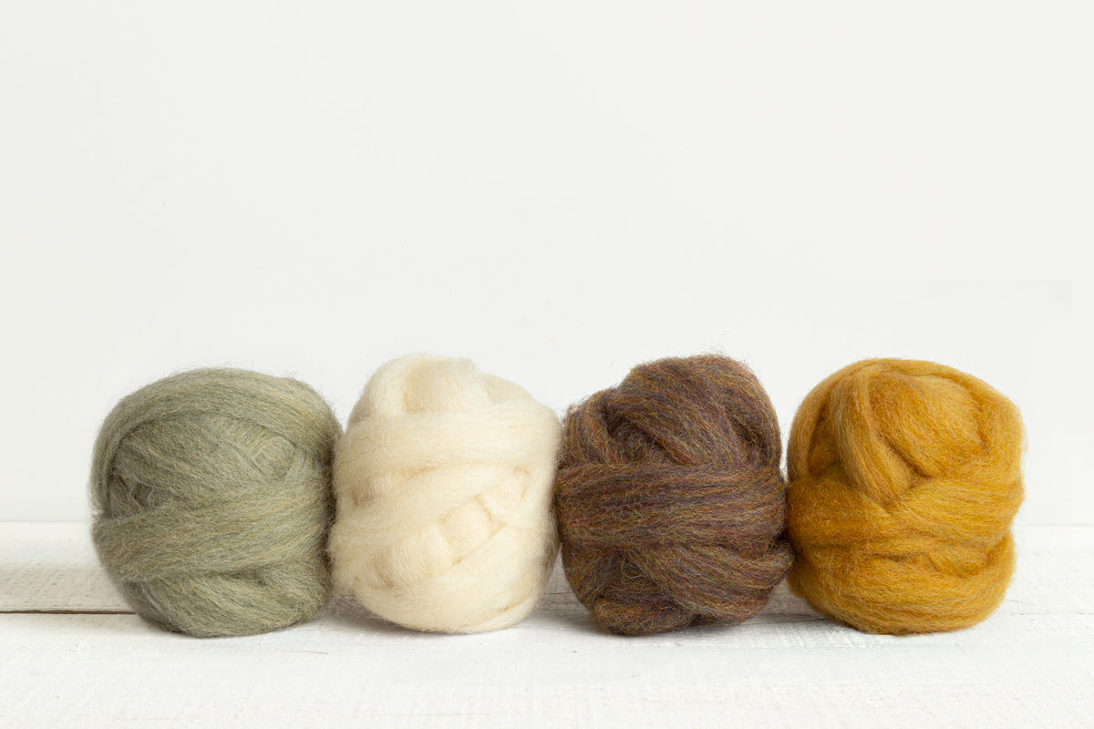 Wool Roving Set (Fairytale Pumpkin)– Woodlark