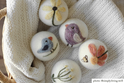 Wool Roving Starter Set - Woodlark Shop