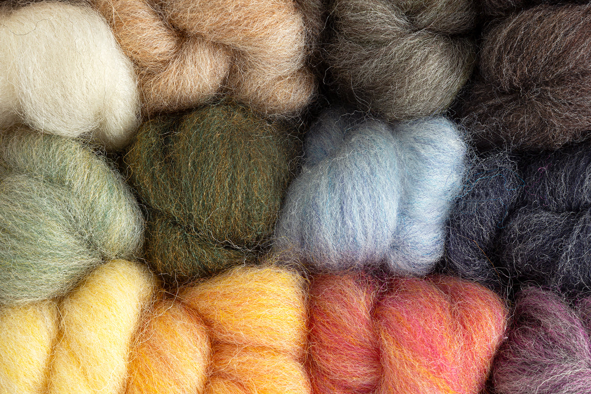 Wool Roving Starter Set - Woodlark Shop